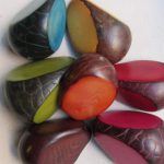 Graines de Tagua. Ivoire végétal. Onze couleurs